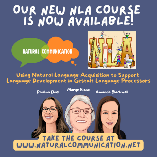 Professionals Supporting Gestalt Language Development – Natural ...